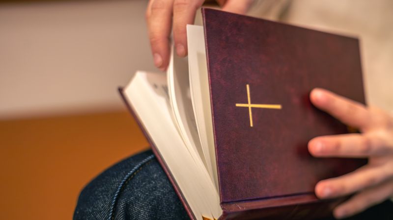 2. Основное по наполнению и настройке. Руководство по приложению MyBible. (Лилия).