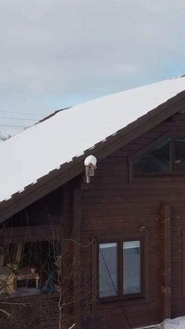 Дом из  профилированного бруса 200-300-24