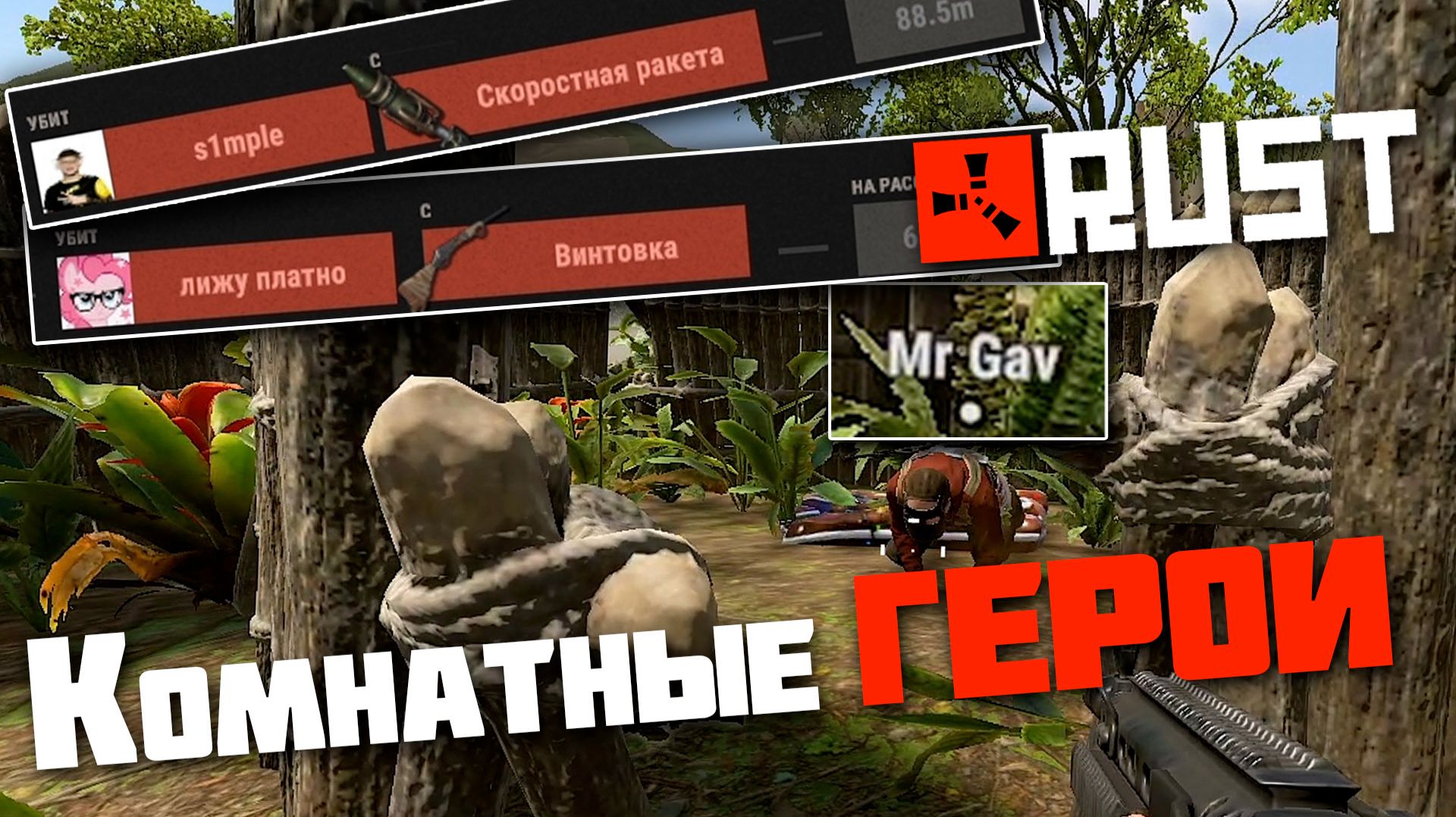 Комнатные ГЕРОИ в Rust