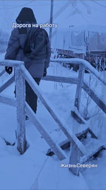 Богатый округ России. Дорога на работу. Ямало-Ненецкий АО Лабытнанги. ЖизньСеверян. 2026