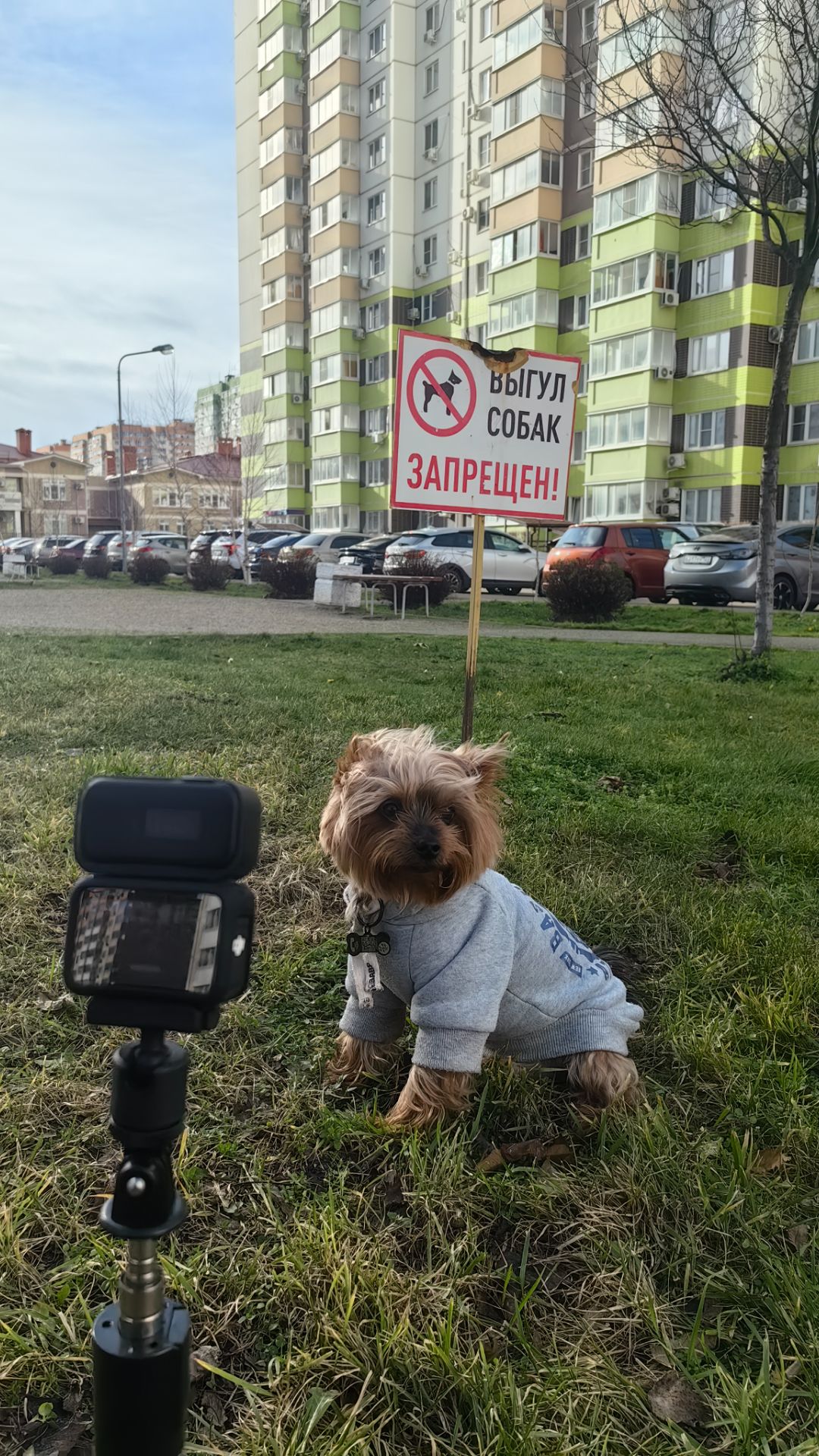 Йорк Бося) Опровержение на ролик "Социальный Протест"!