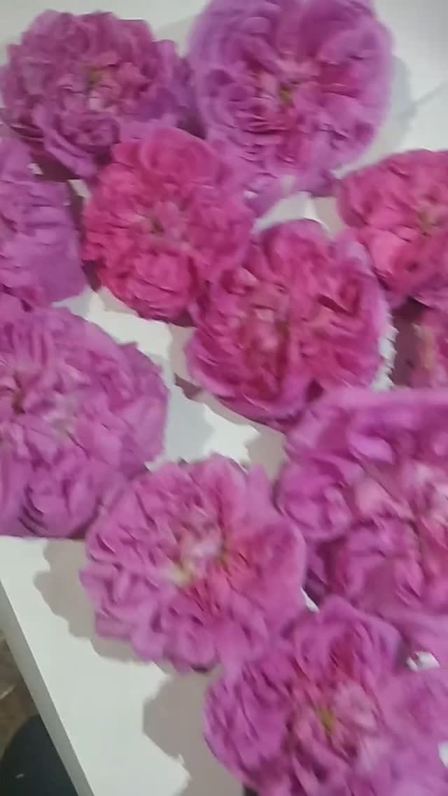 13 ноября 2024 г.