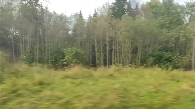 Настройка на неделю 12.01 - 18.01.2026. #инсайты #осознанность #медитация