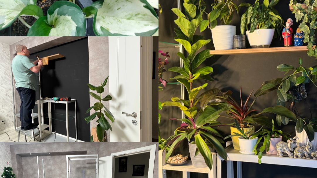 ФИТОСТЕНА. Вертикальное оформление стены, живыми растениями.