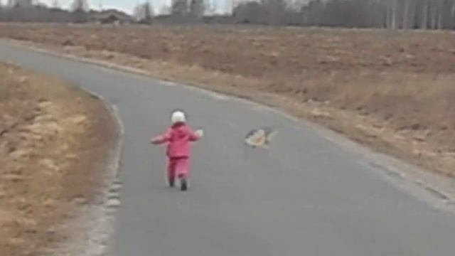 Ребенок запускает воздушного змея в год змеи