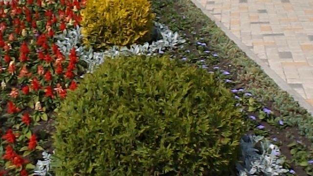 DSCN0596Г.Черкесск -столица Карачаево-Черкессии