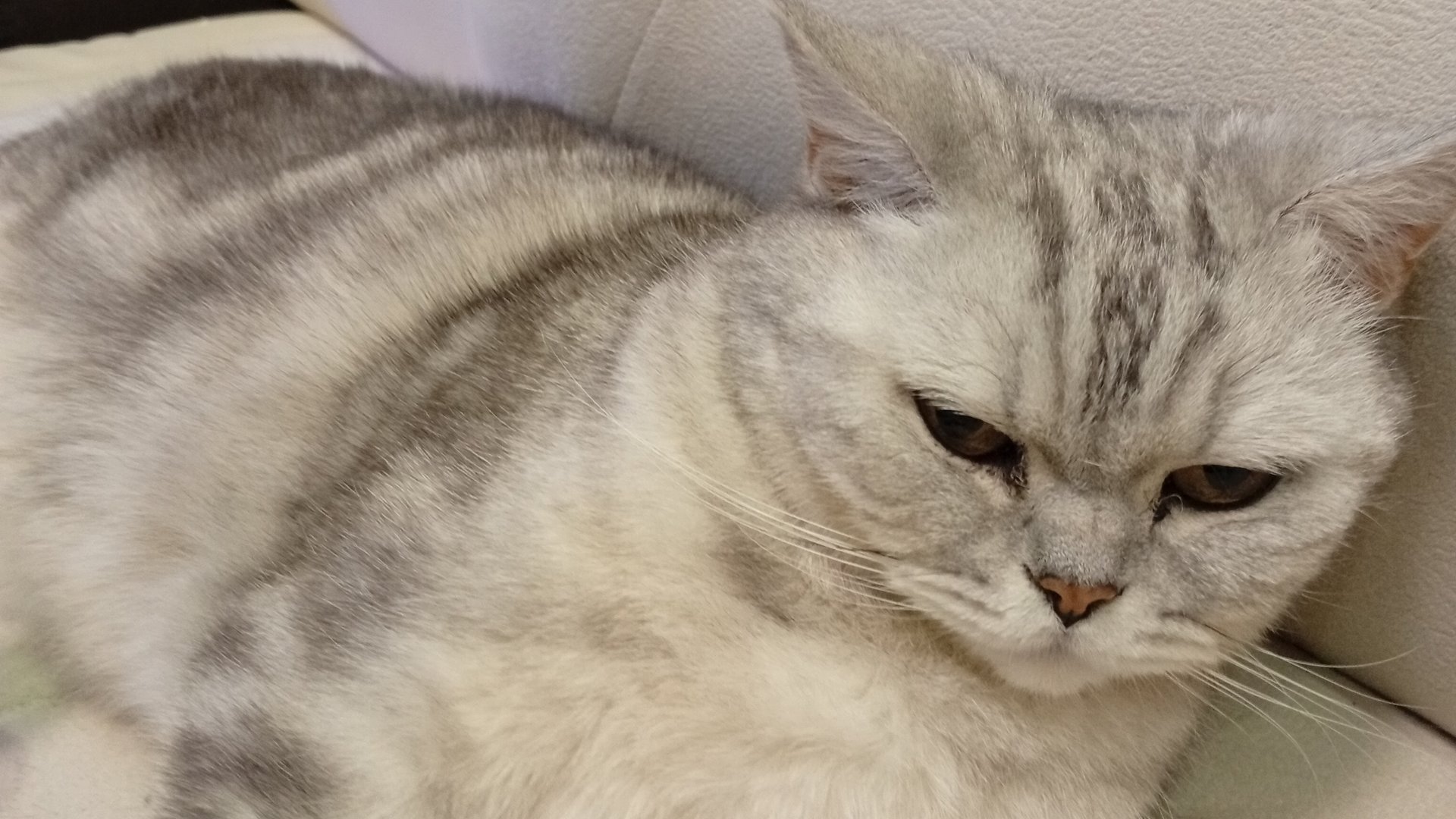 Я прошёл это ради Аллаха! | Spam for Allah 100%