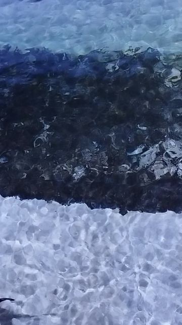 Большой Аквариум Шарджи