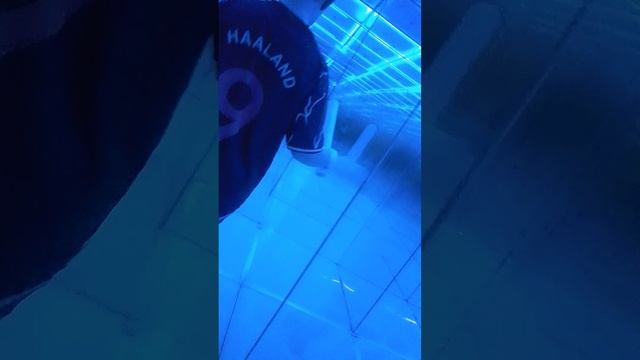 прохожу стекольный лабиринт часть1