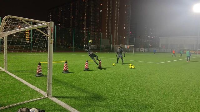 тренировка вратарская Легион-1