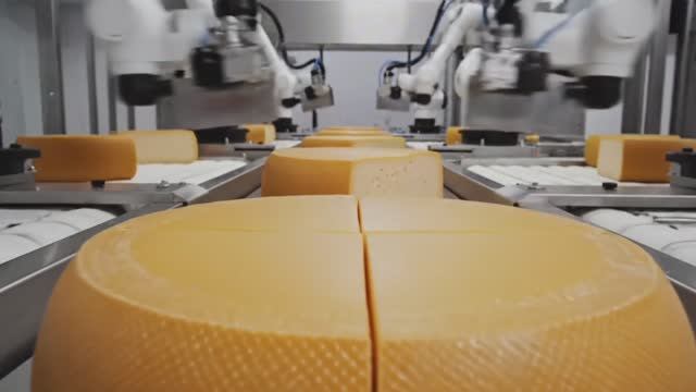 Вот так делают сыр. Полный цикл производства.