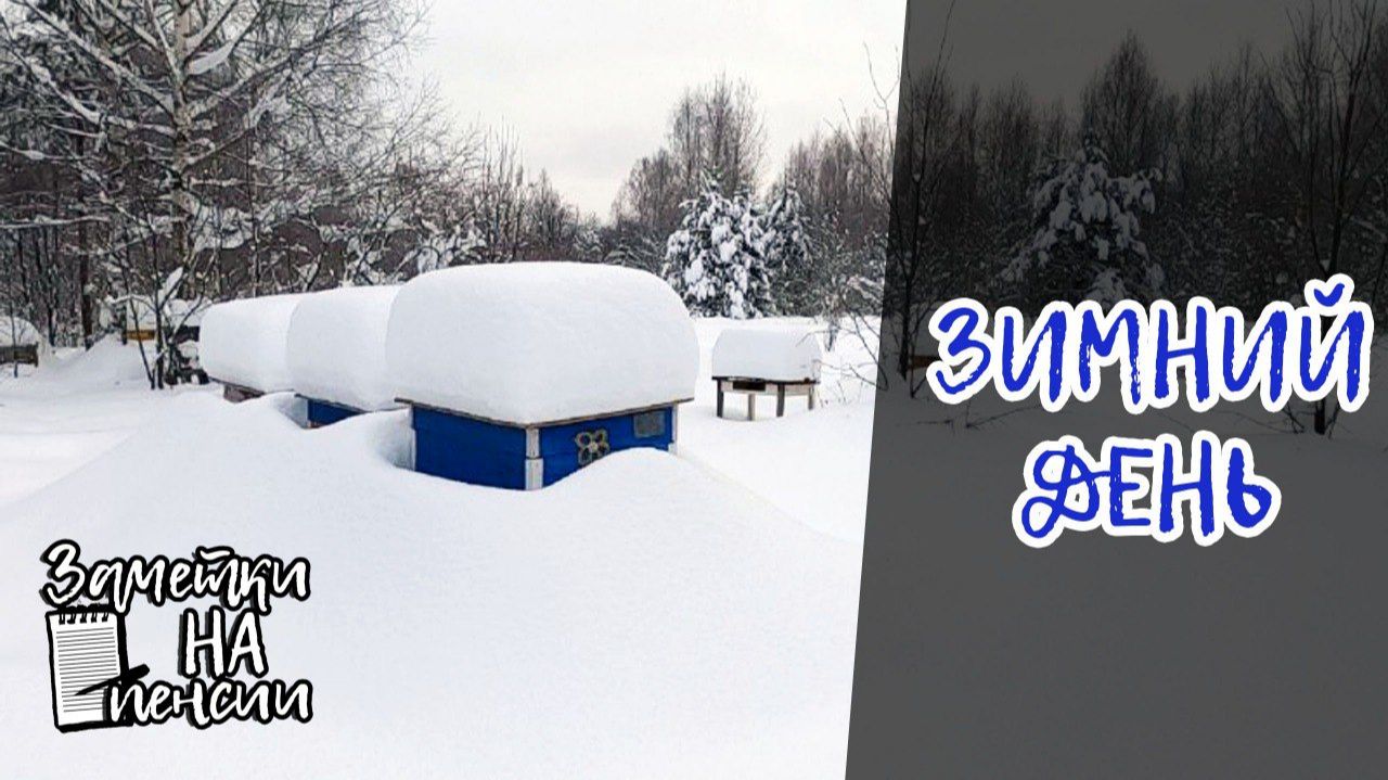 Зимний день в деревне. #деревня #снег #пасека #зима