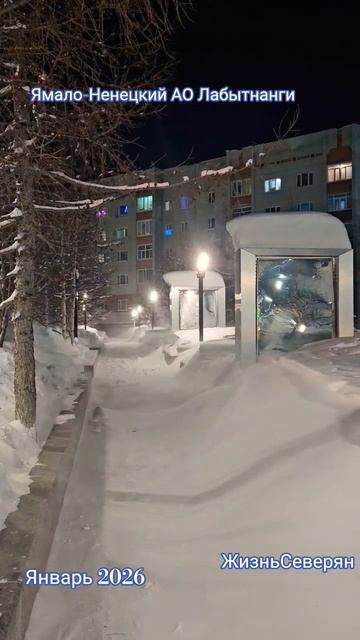 Северный городок за полярным кругом Ямало-Ненецкий АО Лабытнанги. Реальная ЖизньСеверян. 2026