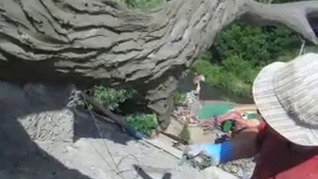 Оформление фундамента фасада корни деревья кара из арт бетона мастер класс.