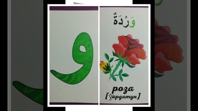 Арабский алфавит 22-28 буквы ك-ي.