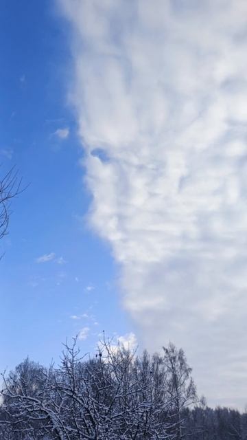 Свет и тень