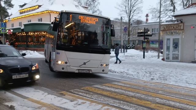 Новогодний Светлогорск Калининградская область курортный город