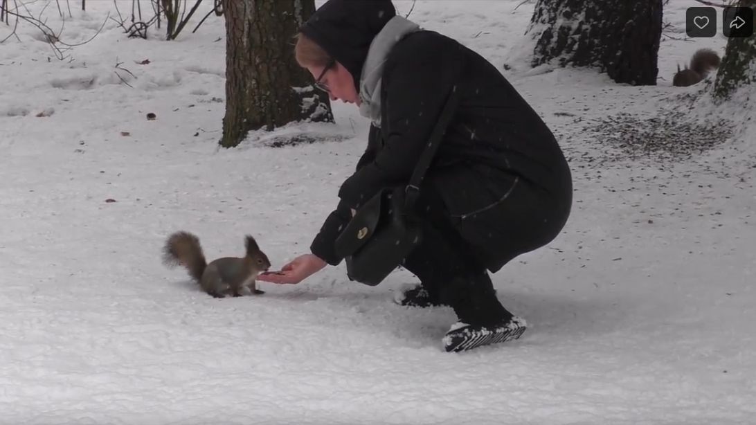 Елагин остров. Мои дамы, белки и я. .27.12.23.