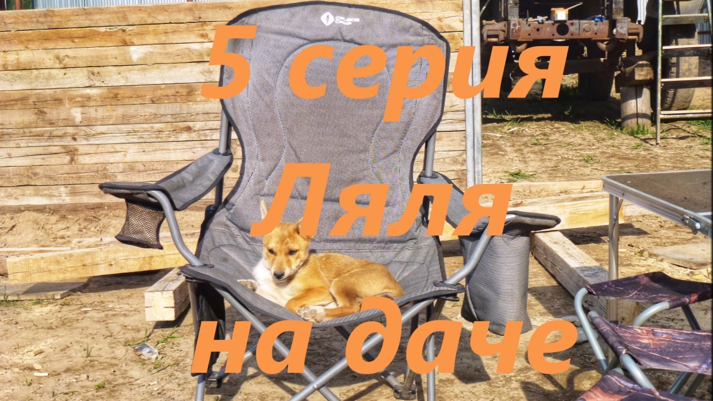 История одной НЕСОБАКИ. 5 серия