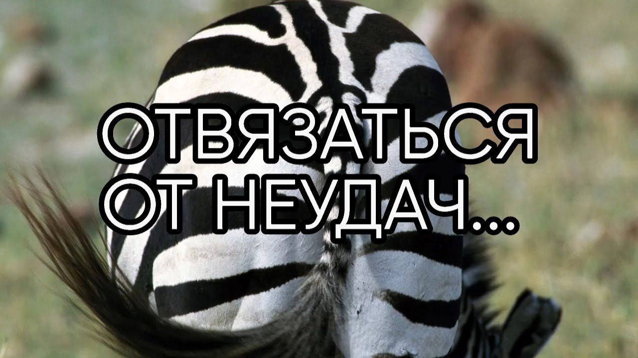 ОТВЯЗАТЬСЯ ОТ НЕУДАЧ...ДЛЯ ВСЕХ...