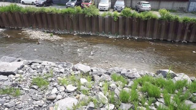 Вторая речка.