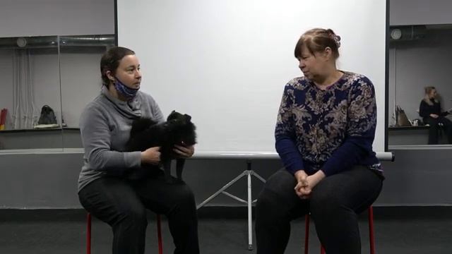 Лекция 11 Интервью с владельцем собаки-канистерапевта от 08.01.2021