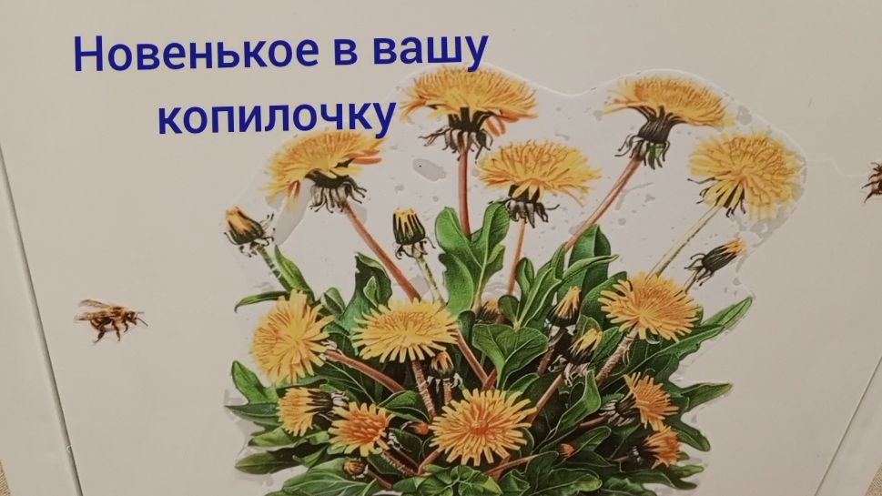 Вам в копилочку