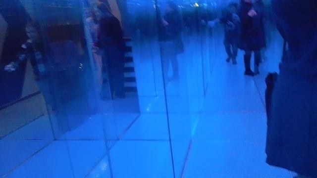 прохожу стекольный лабиринт часть 2