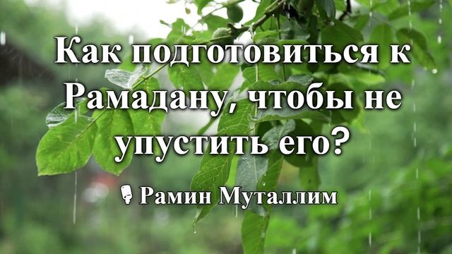 Как подготовиться к Рамадану, чтобы не упустить его_🎙Рамин Муталлим