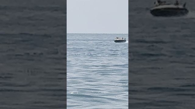 Гоняем на Диване