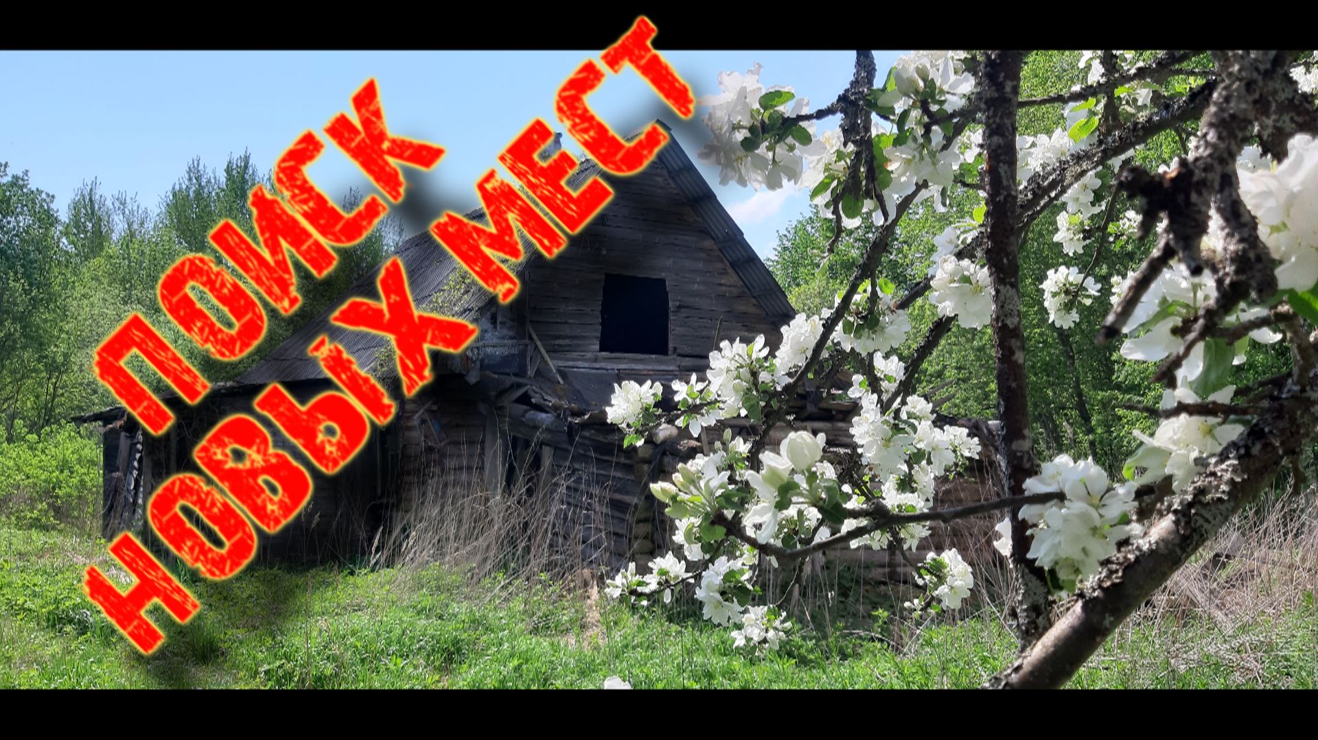 Коп по войне. Фильм  55. Поиск новых мест. Военная археология.