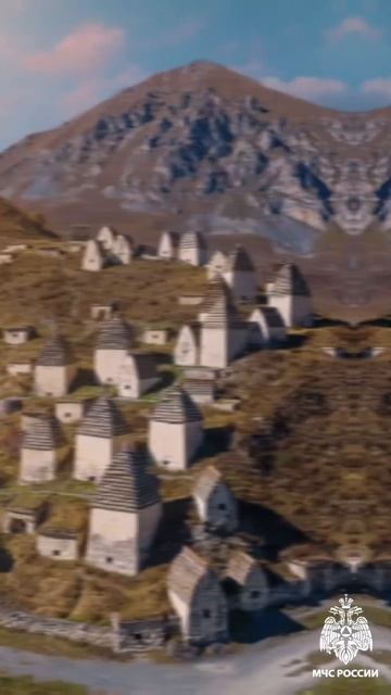 МЧС в Тренде