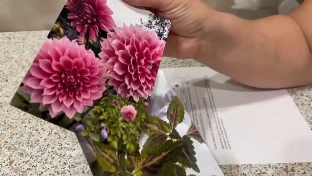 МФУ Epson L3256. Печать фотографий