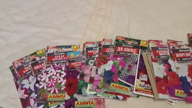 Обзор семян петунии на новый сезон