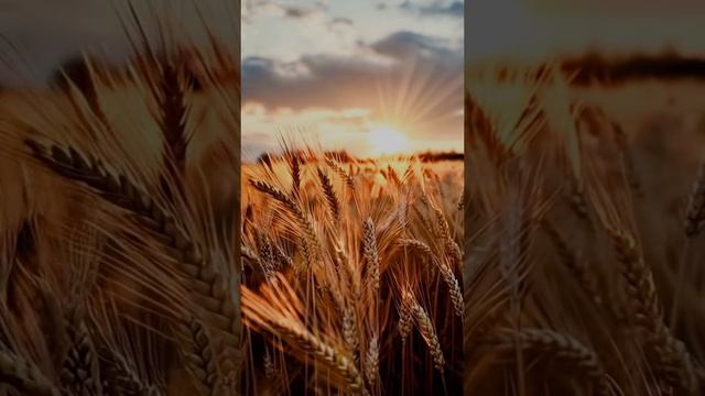 Я возвращаюсь к тебе! Автор текста песни Татьяна Худякова Eteluin 2000 г.