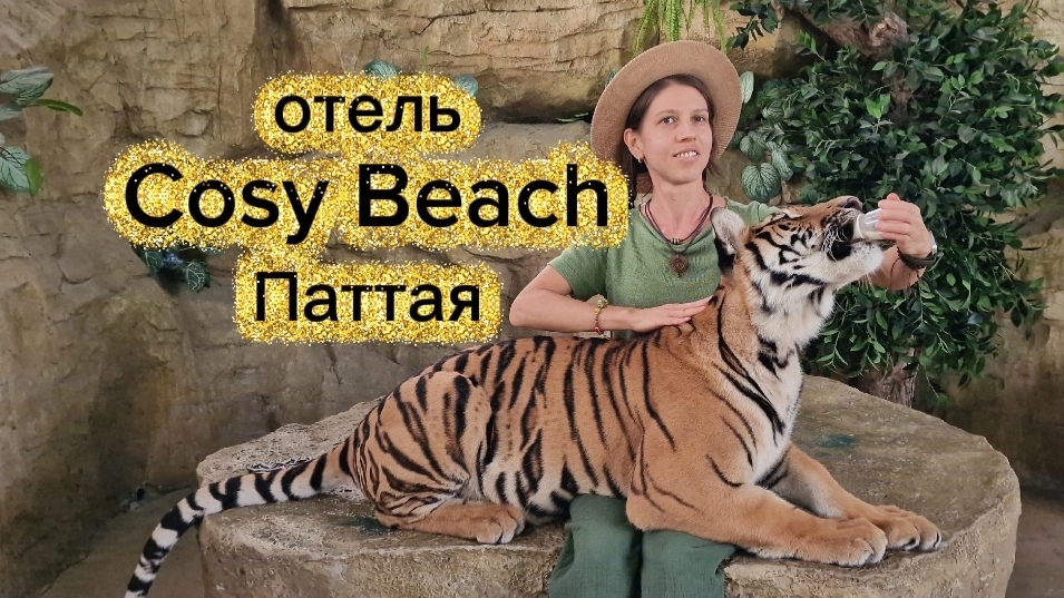 Таиланд,  Паттая отель Cosy Beach