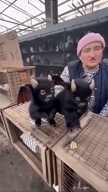 Бабуся из нейросети на черном рынке 😂😂😂