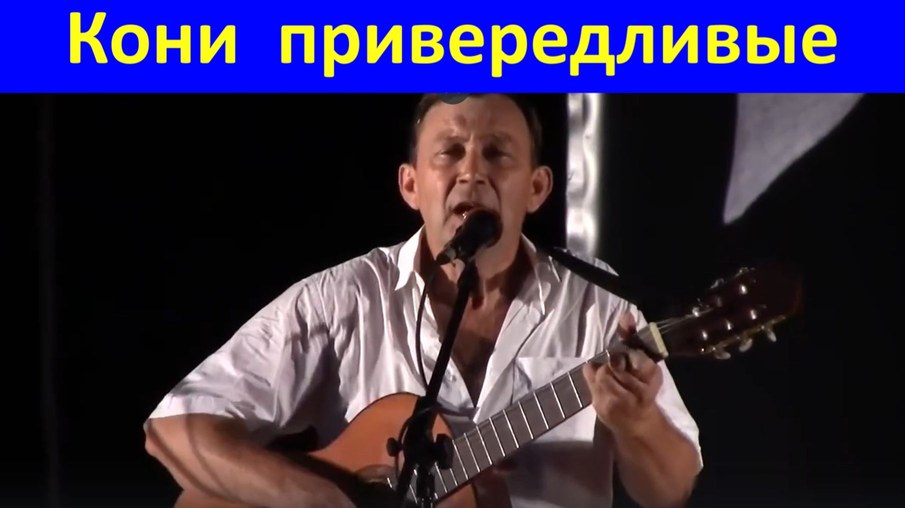 Песня Кони привередливые Алексей Журавлёв песни Высоцкого