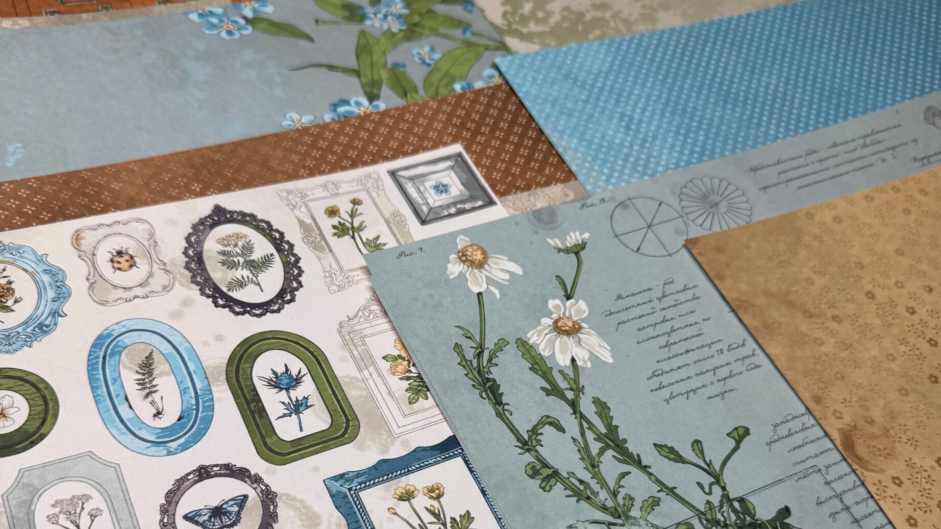 Покупки бумаги от «Скрапмеланж». Скрапбукинг.