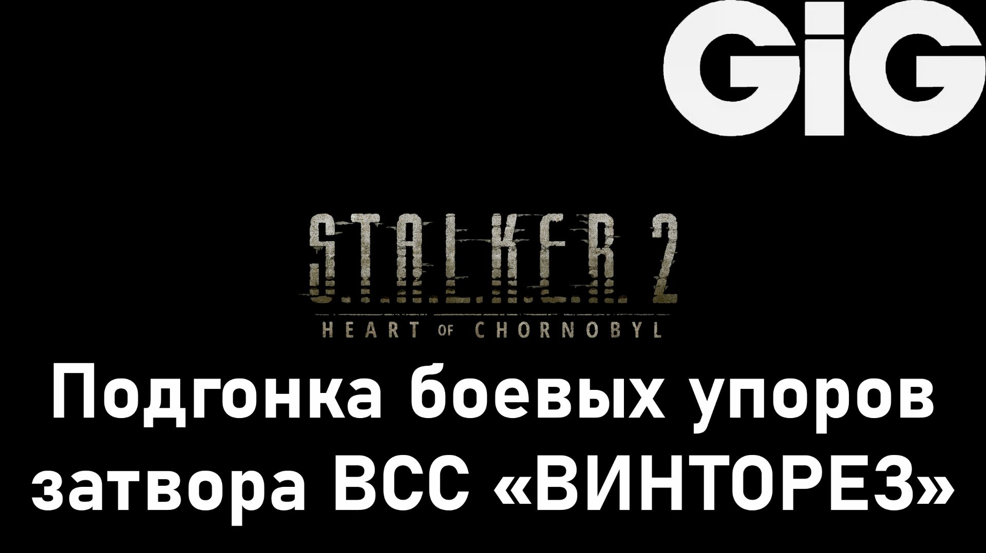S.T.A.L.K.E.R. 2 Heart of Chernobyl - Подгонка боевых упоров затвора ВСС "ВИНТОРЕЗ"