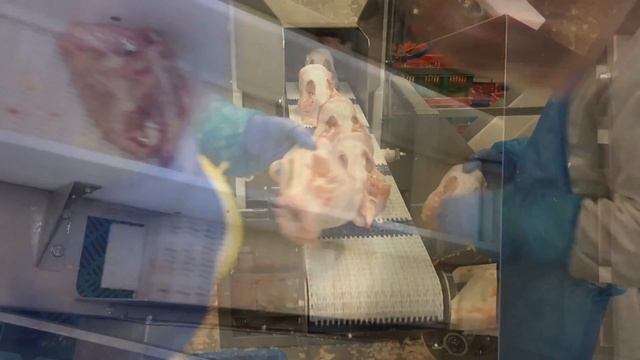 7jZYLYQcMio-STEEN ST650 - Chicken whole breast skinning machine - production