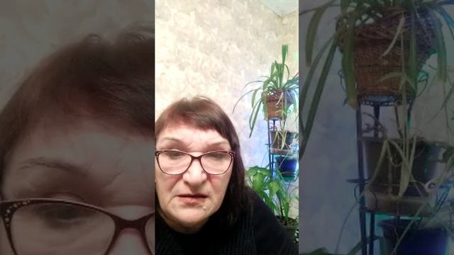 Первый вечер после зимних каникул!