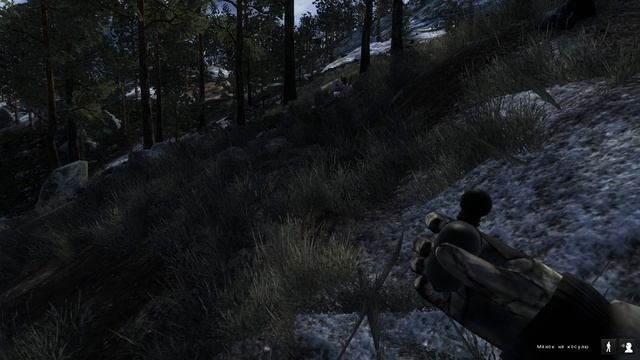 theHunter Classic-добыть косулю