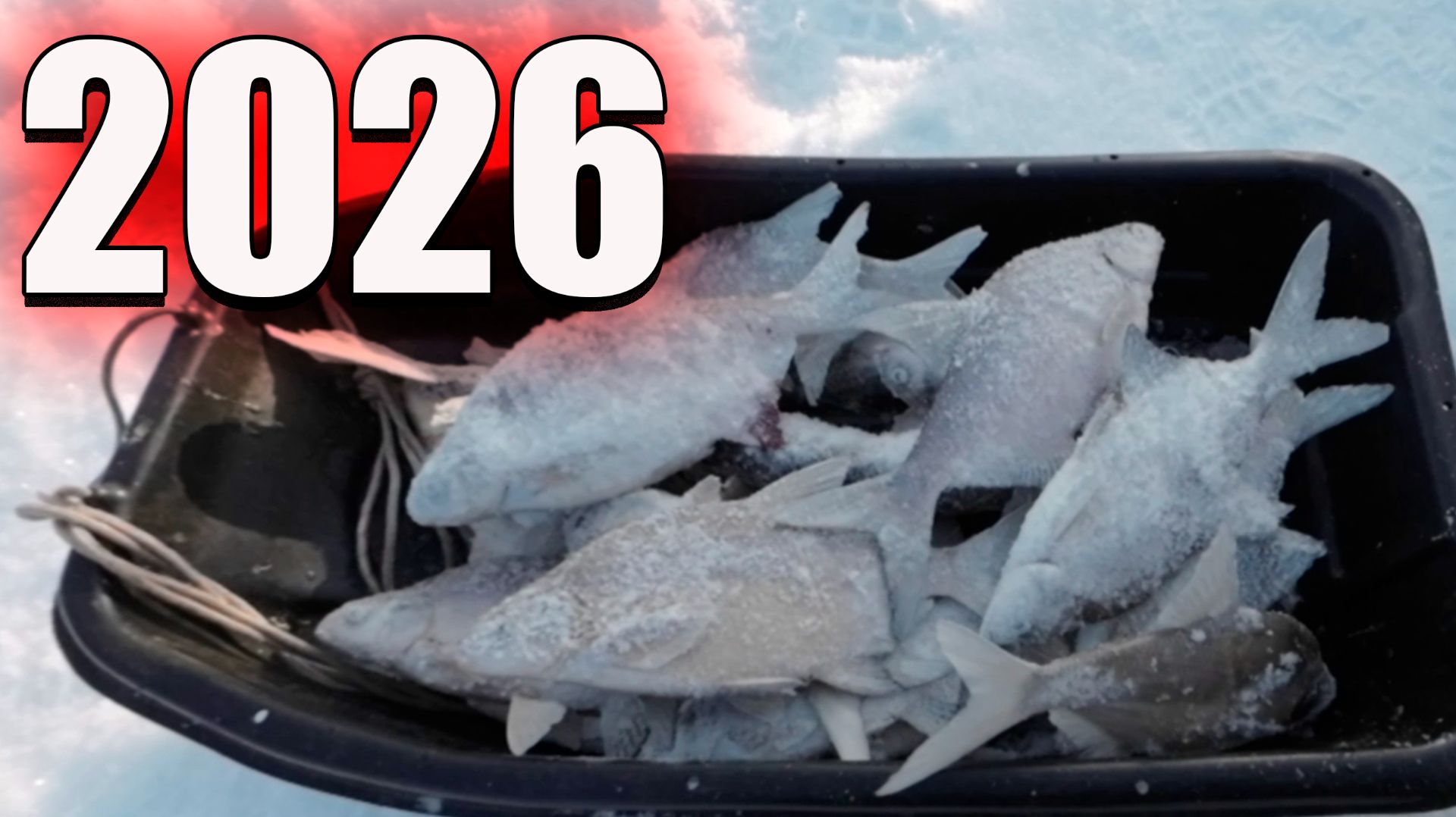 Рыбалка 2026 на Красноярском водохранилище. Зимняя рыбалка.