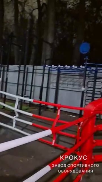 Воркаут-комплекс г. Солнечногорск