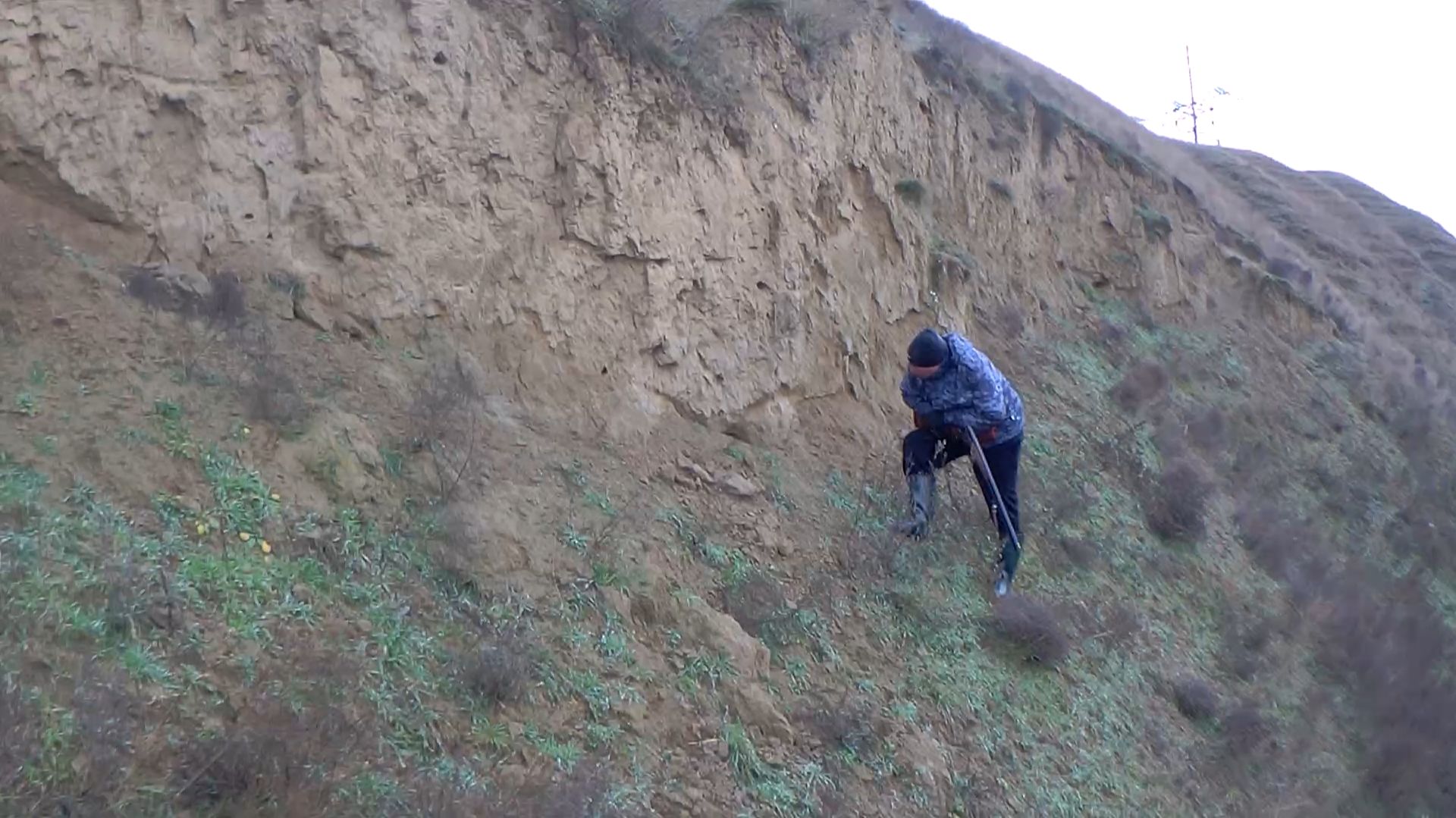 ЗАЯЦ ЗАЛЕЗ В НОРУ... Как так - то? ОХОТА НА ЗАЙЦА ПО ЧЕРНОТРОПУ. Январь 2026