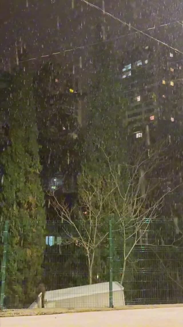 Снег в Ялте 12 Января 2026 / Крым