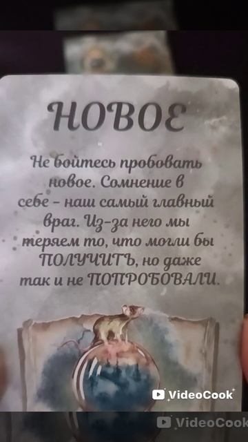 Совет от Оракула🔥#таро