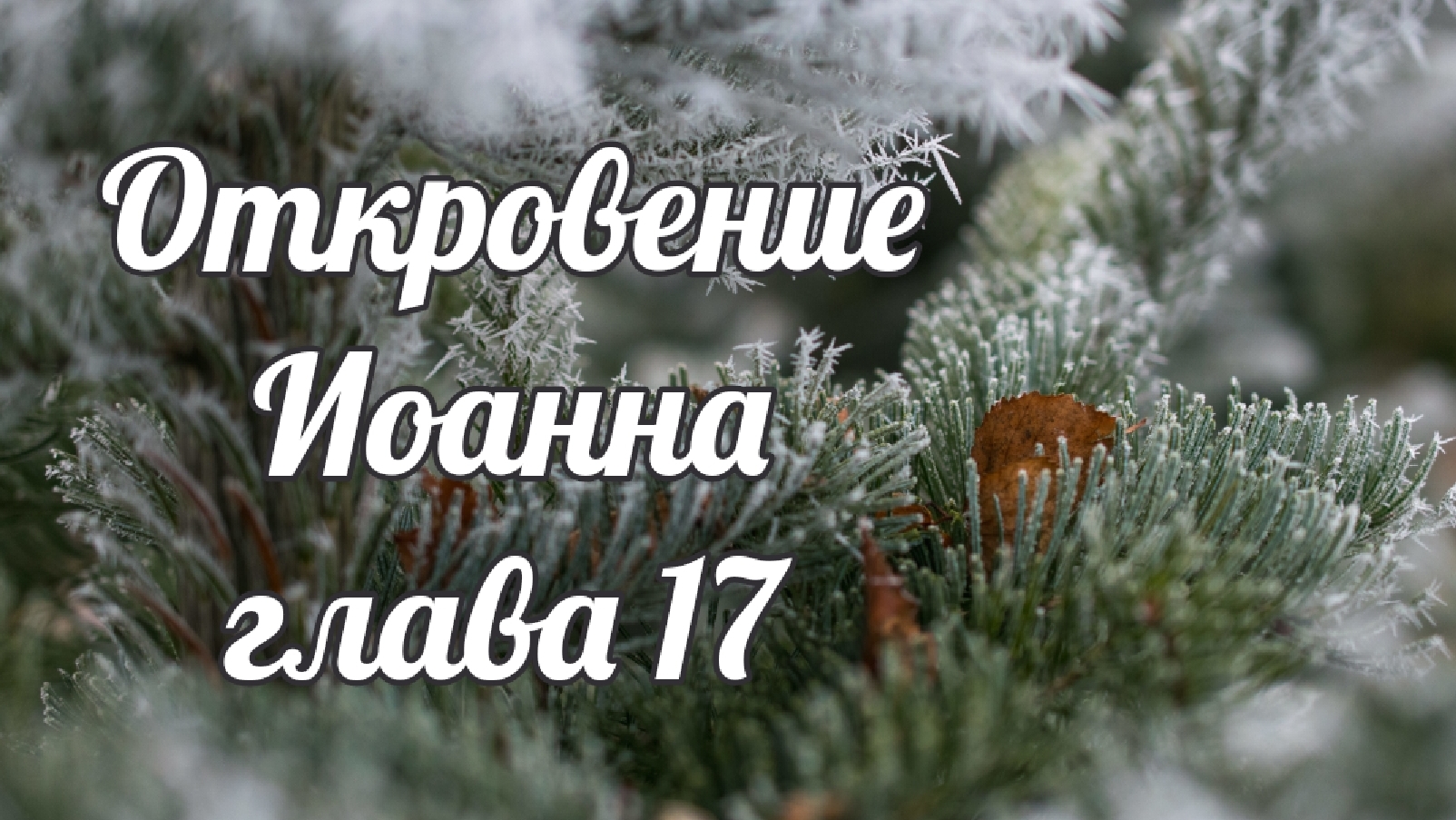 Откровение Иоанна глава 17