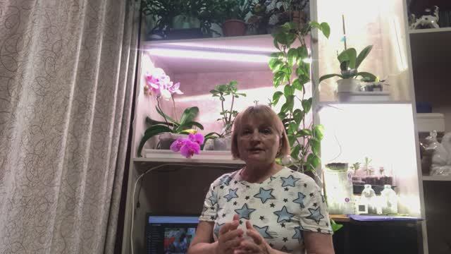 Орхидеи посылка с питательной смесью для орхидей посев и результат